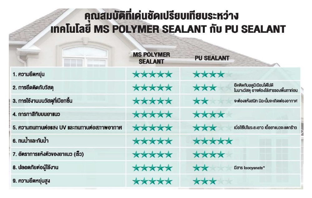 ซีสต้า โพลิเมอร์ยาแนว Sista Polymer Sealant 290ml – TK Power Summit